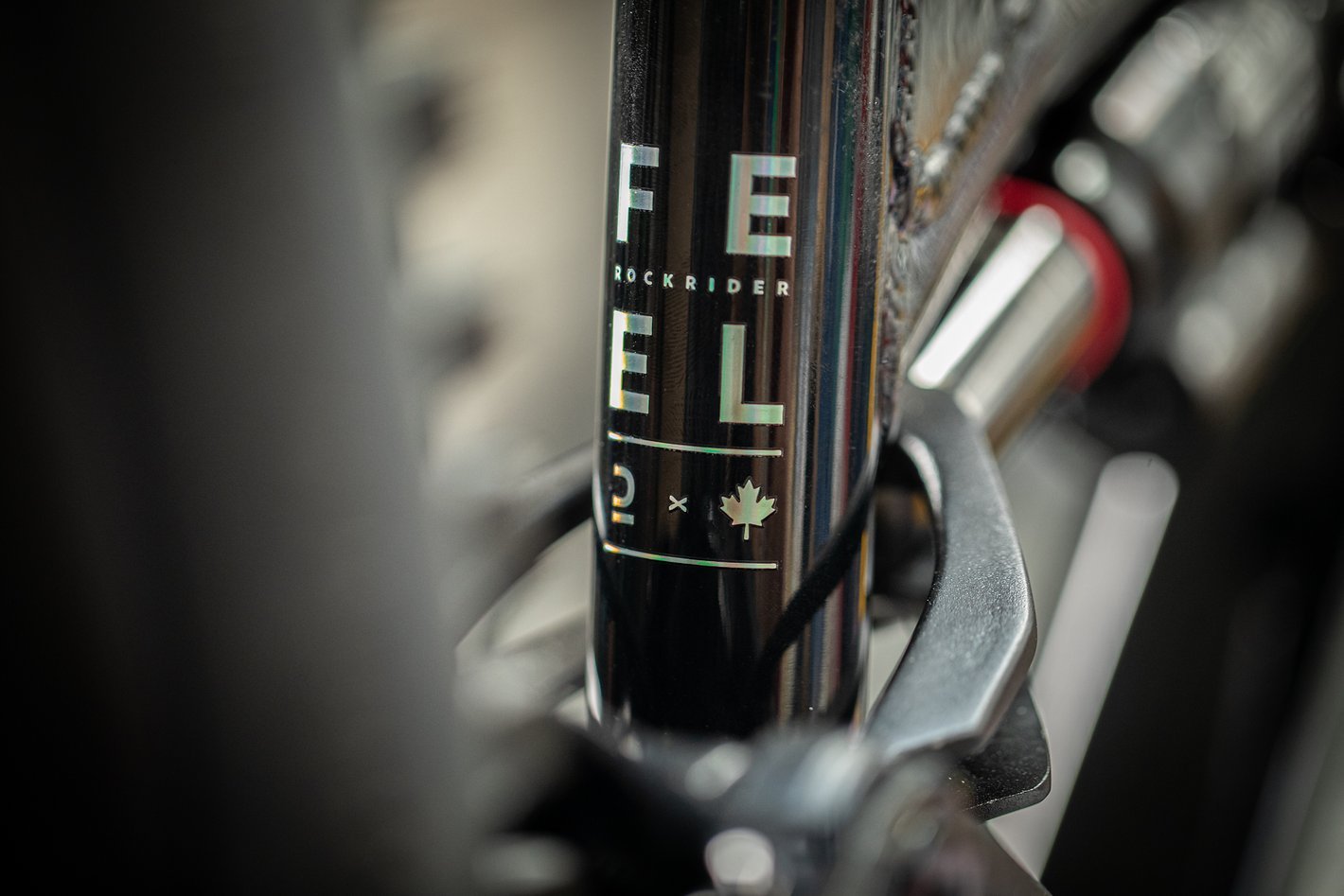 Neues Decathlon Rockrider E-Feel 900S TE: Kampfansage Made in Canada