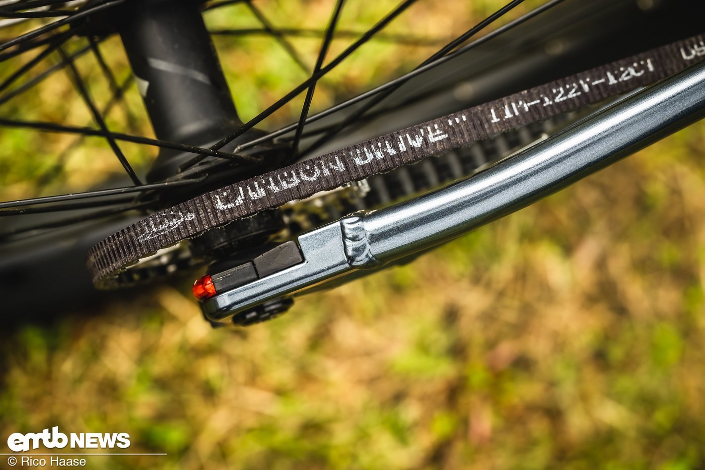 E-Bike mit Pinion – Bulls, Rotwild, Simplon & Flyer mit Pinion MGU E1.12