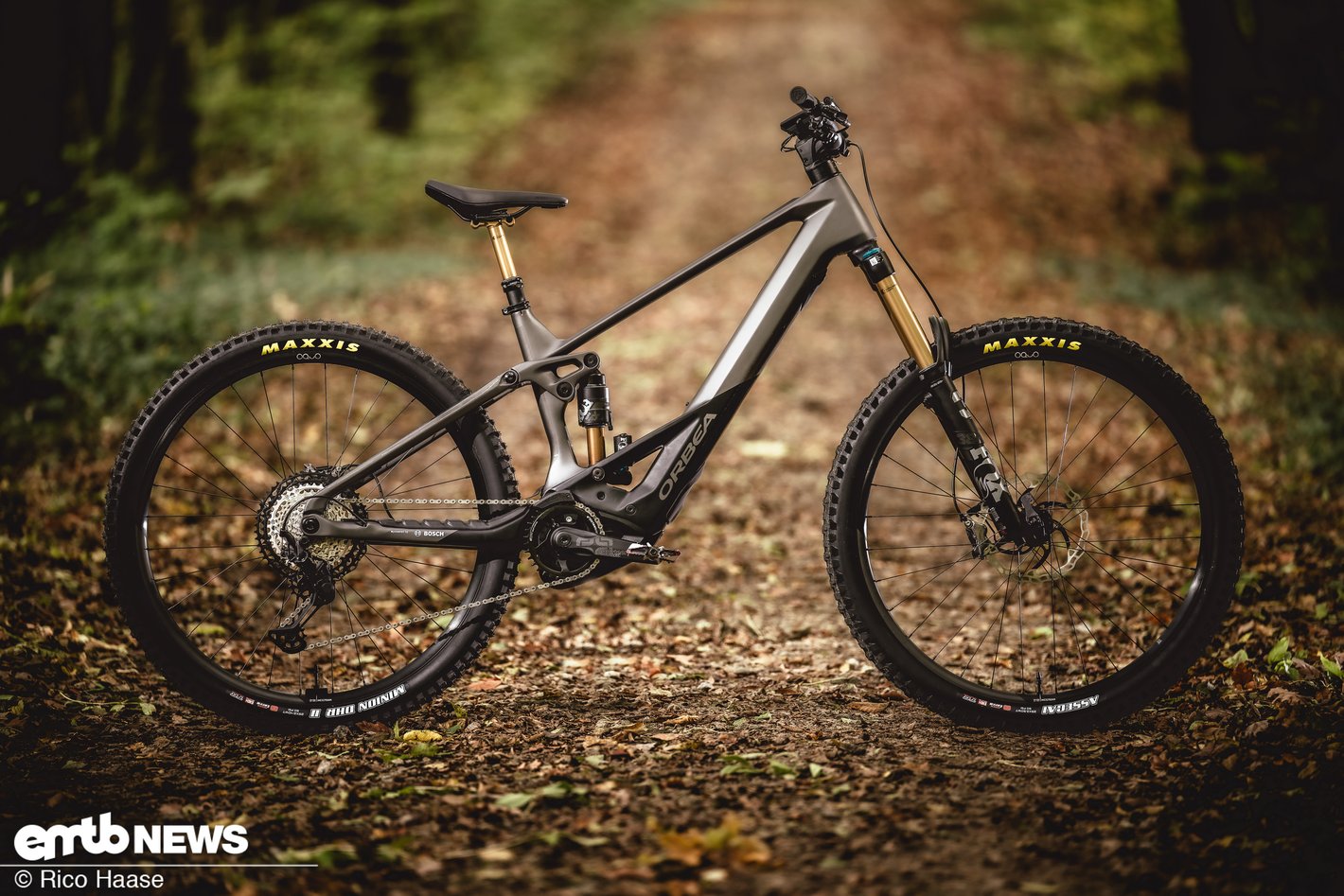 Orbea Wild M-Team – Test: Testsieg für die spanische Allzweckwaffe