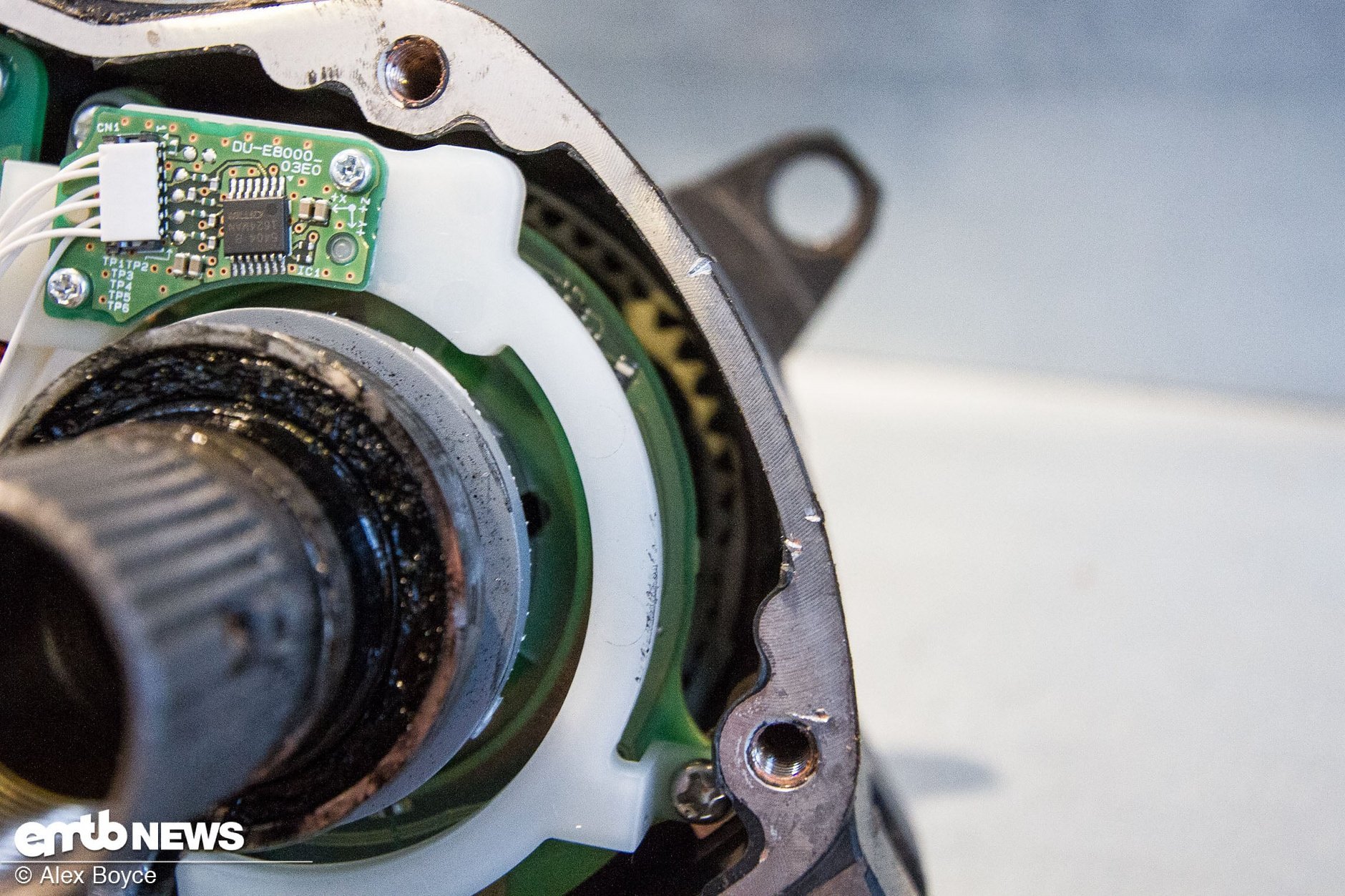 Shimano Steps E8000 Motor zerlegt: ein Blick ins Innere des Antriebs – eMTB-News.de