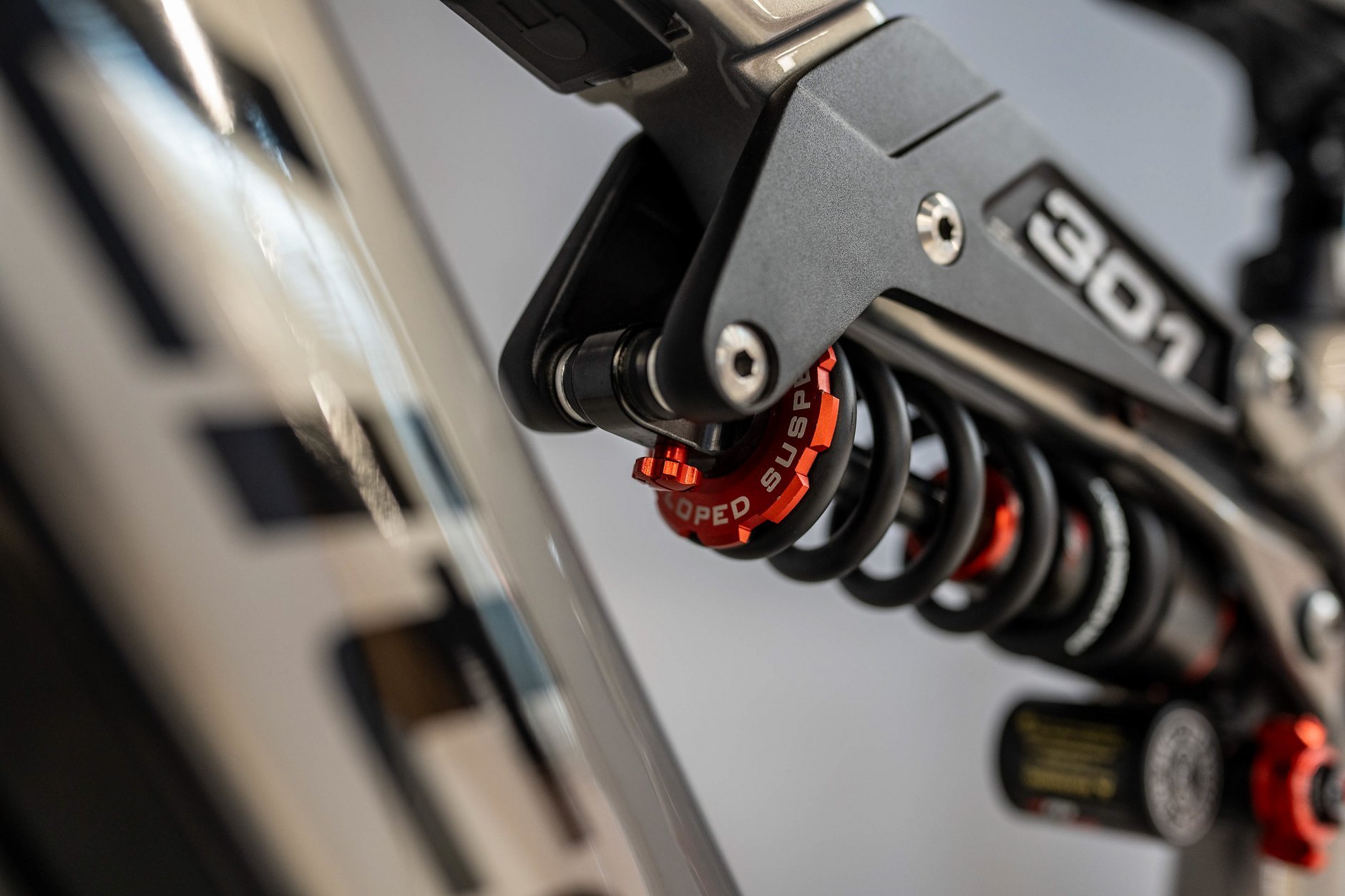 Liteville 301CE Mk2 – Sondermodell: Limitierter Bolide mit WP x DVO ...