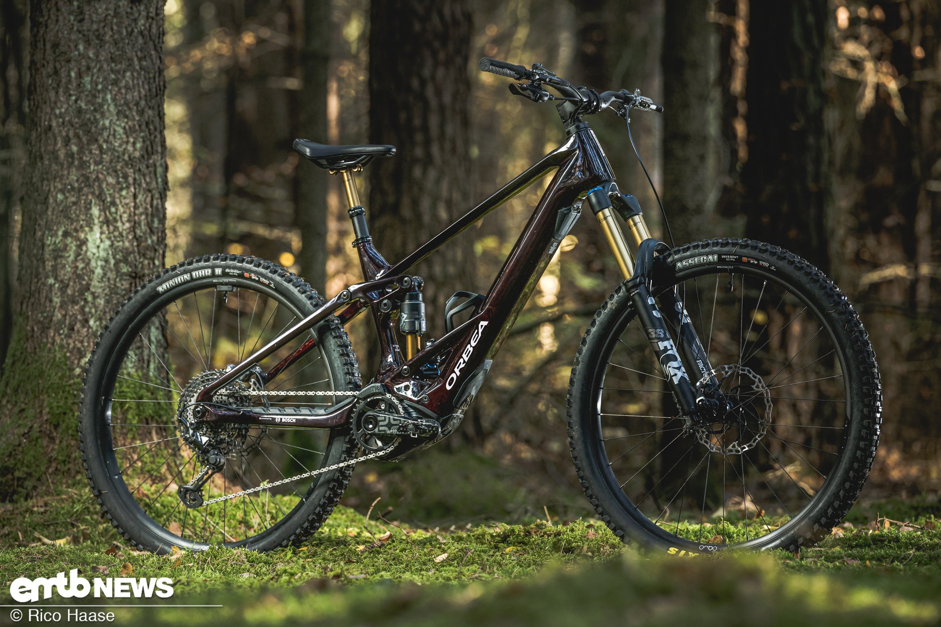 Orbea Wild MY2023 – Test: Neues Performance-E-MTB von Orbea