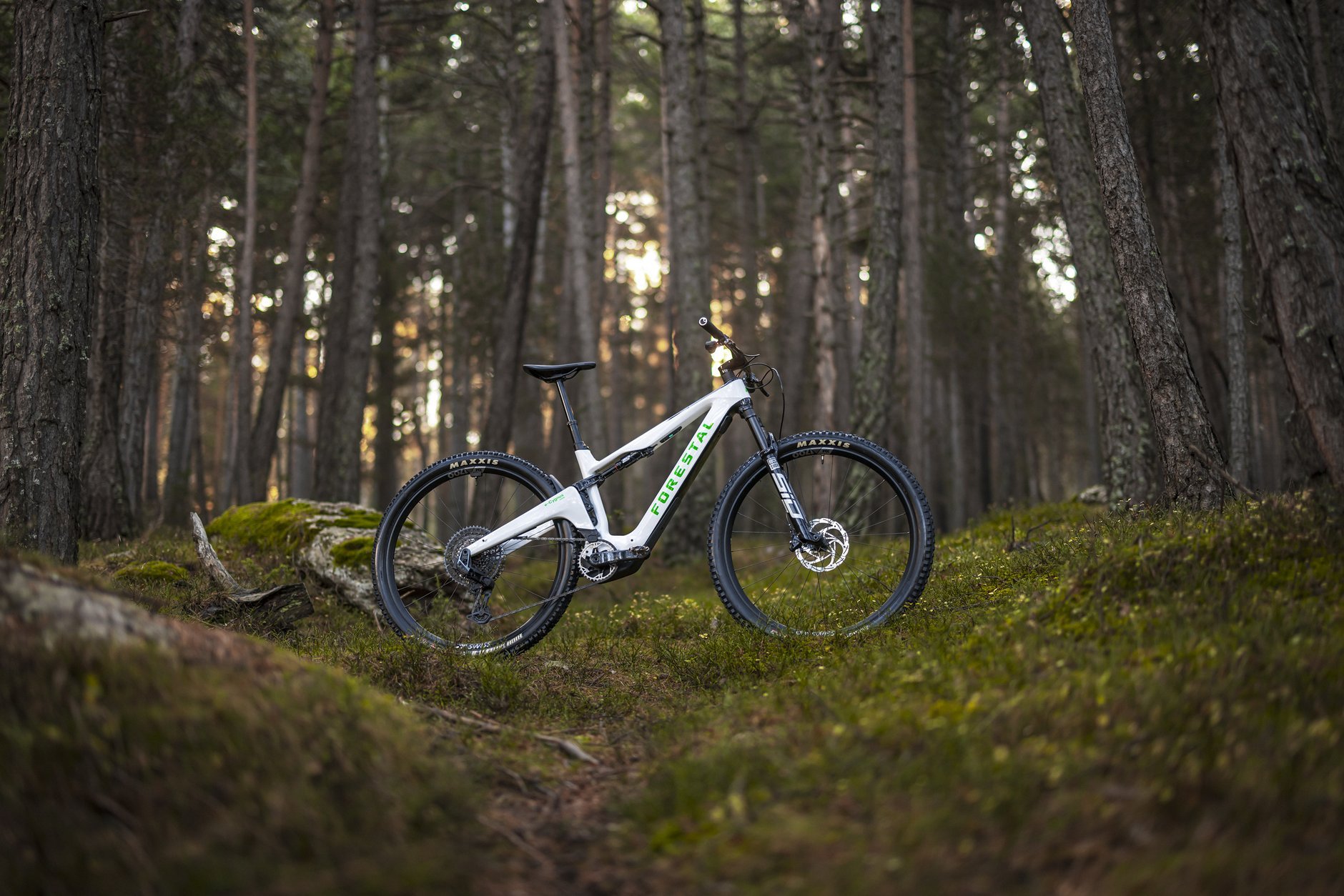 Neues Forestal e-Cygnus: High-Performance für Down-Country-Abenteuer – eMTB-News.de