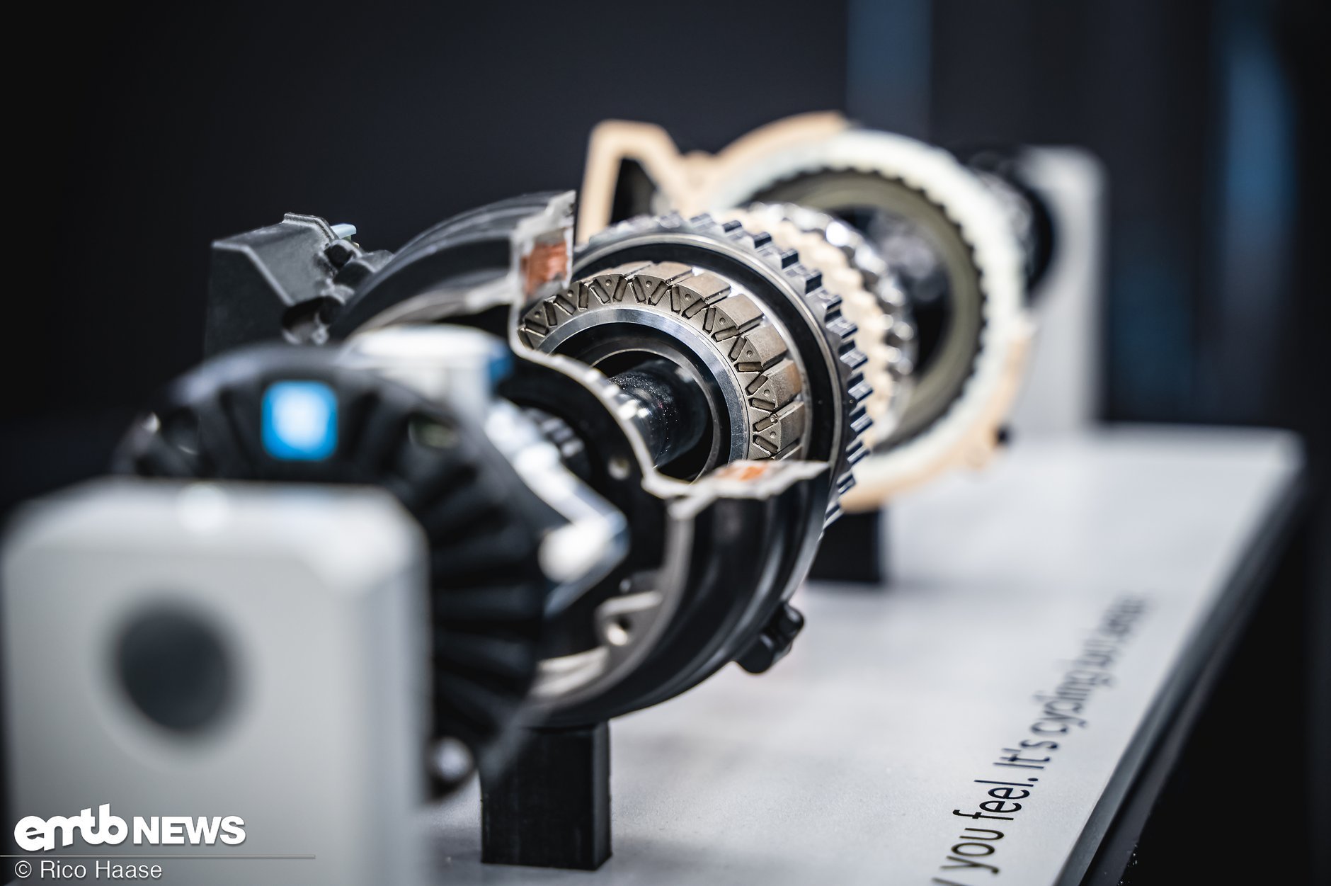 Fazua gegen TQ: Welcher Motor bringt das pure Mountainbike-Erlebnis?