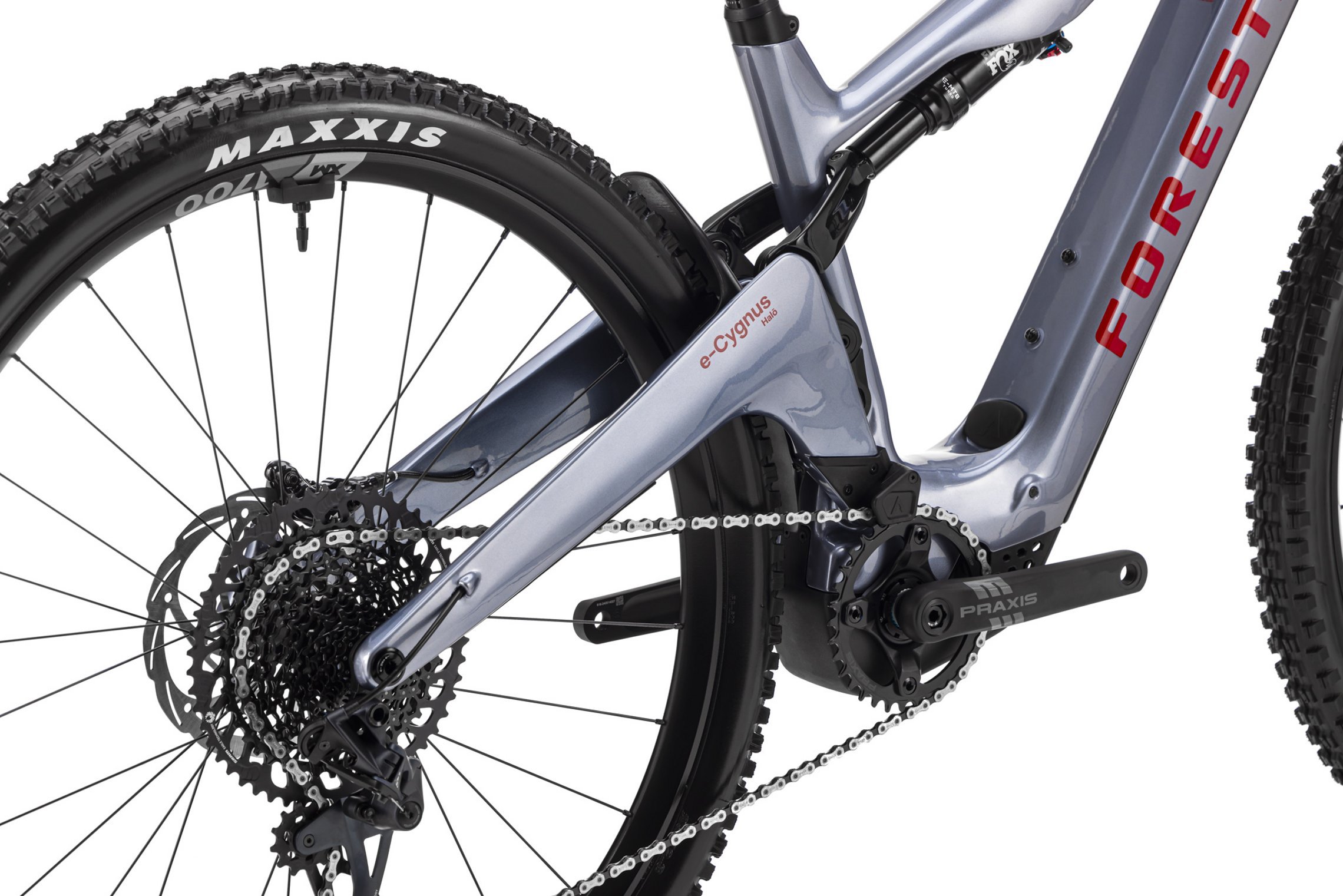 Neues Forestal e-Cygnus: High-Performance für Down-Country-Abenteuer – eMTB-News.de