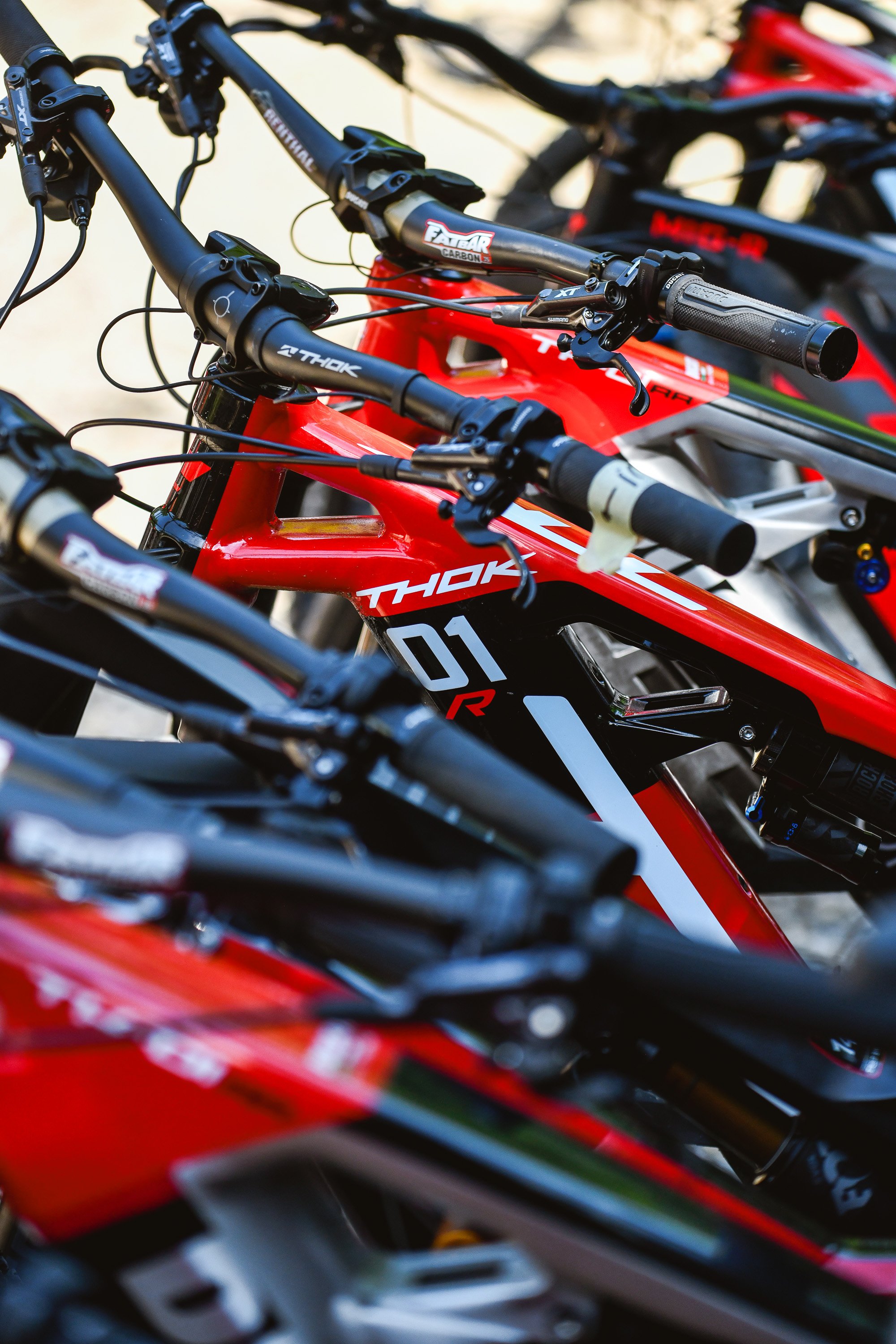 Thok Tribe 2024: Das E-Mountainbike-Event in der Toskana – eMTB-News.de