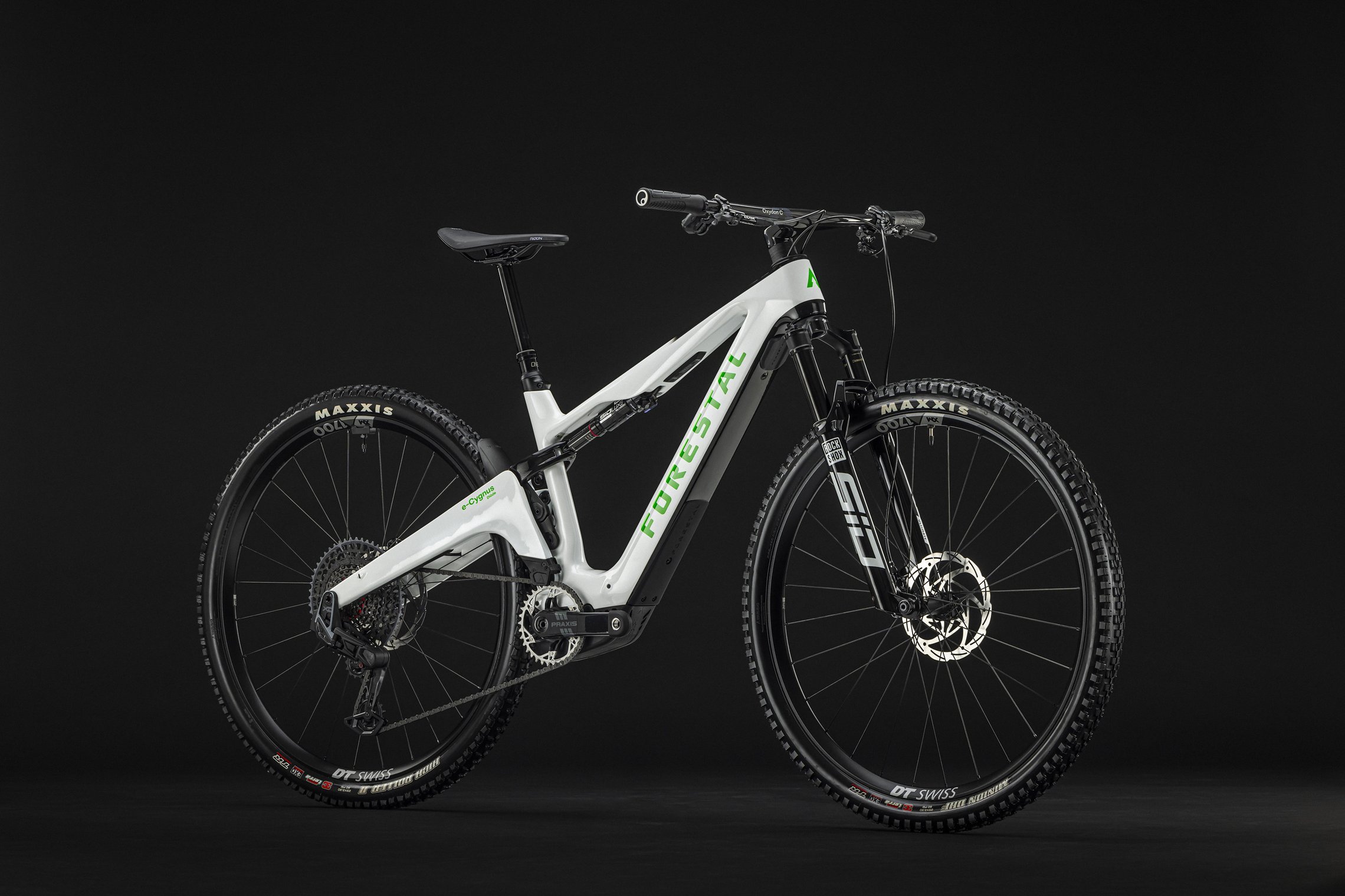 Neues Forestal e-Cygnus: High-Performance für Down-Country-Abenteuer – eMTB-News.de