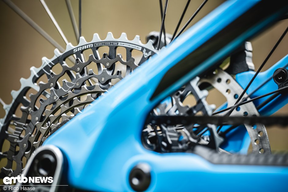 Transition Relay Test – wir haben das 2023er Transition Relay getestet