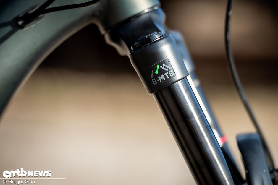 Whyte E-150 RS im Test: Britisches Allround-Talent – eMTB-News.de